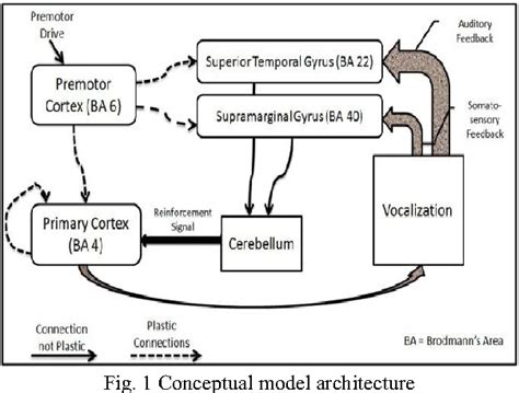 Figure 1 From A Computer Model Of Language Acquisition Syllable