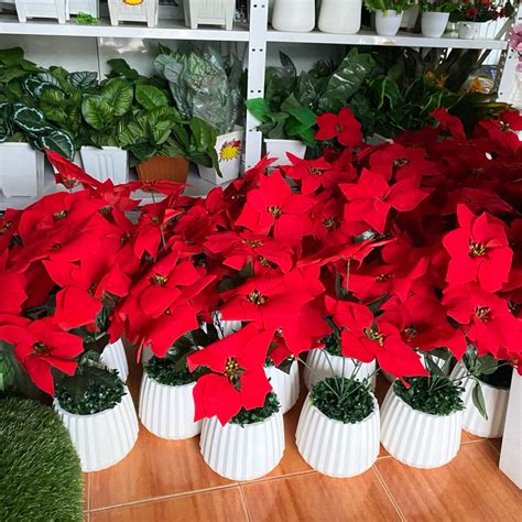 พร้อมส่ง ต้นคริสต์มาสสีแดง ต้นคริสต์มาสปลอม ต้นคริสต์มาสพร้อมกระถางเบลล่า ตกแต่งบ้าน สวน ร้าน