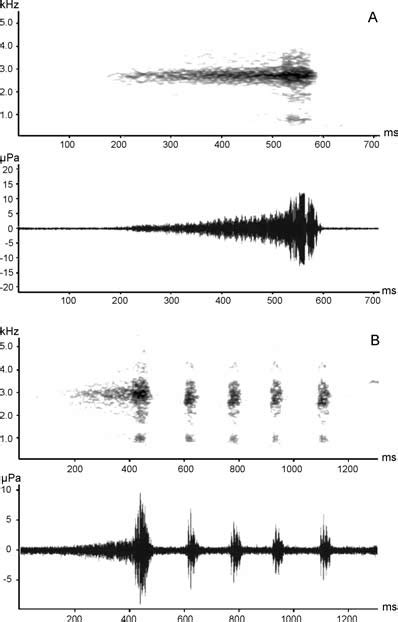 Sonagram Above And Oscillogram Below Of Call Type 1 A And Download High Resolution