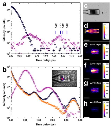 Ultra Fast Imaging Of A Single Mode Waveguide Without Defects The Download Scientific Diagram