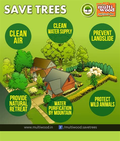 How Trees Help Our Environment At Roscoe Ramirez Blog