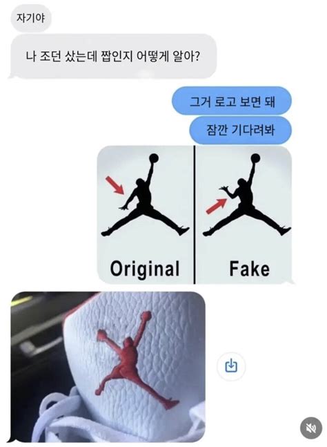조던 짝퉁을 산 아내 ㅎㄷㄷㄷㄷ 유머 움짤 이슈 에펨코리아