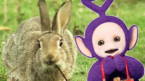 Teletubbies Looking For Rabbits Us Version At Poppy Mcbrien Blog