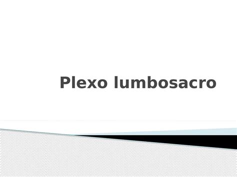 Plexo Lumbosacro Celeste Codutti Udocz
