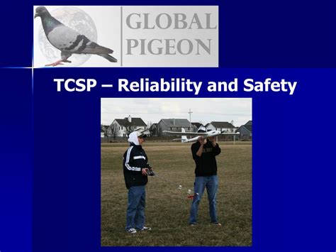 PPT TCSP Reliability And Safety PowerPoint Presentation Free Download ID