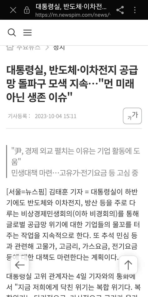 대통령실 반도체·이차전지 공급망 돌파구 모색 지속먼 미래 아닌 생존 이슈 주식 에펨코리아