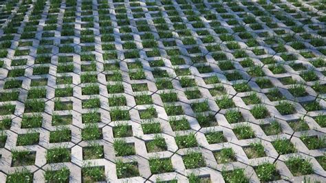 Tutorial Combining Concrete Paving And Grass With Forest Pack And