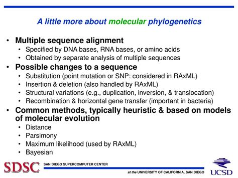 Ppt Hybrid Mpipthreads Parallelization Of The Raxml Phylogenetics