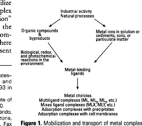 Figure 1 From Metal Speciation In Environmental And Biological Systems Semantic Scholar