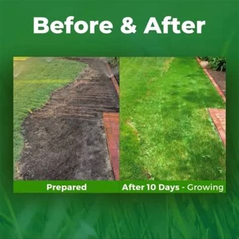 Grotrax Other 0 Sq Ft Grotrax Quick Fix Year Round Green Mixture Grass Roll Out Seed Mat