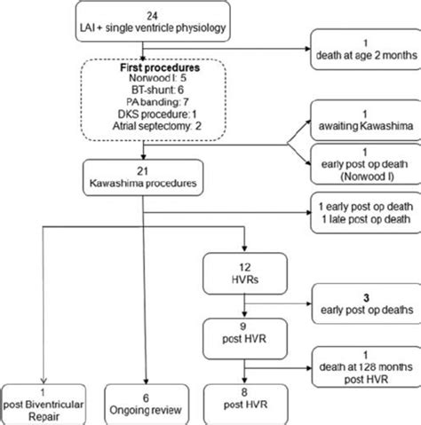 Flowchart Of Cardiac Interventions And Outcomes Download Scientific Diagram