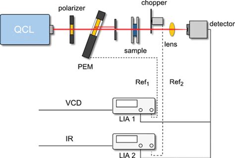 Infrared On The Understanding Of Signals From An IR Detector Coupled To A Lock In Amplifier