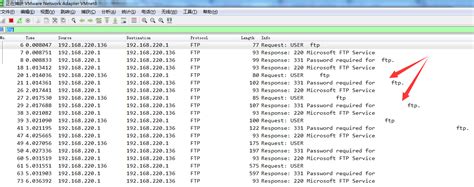 模糊测试（fuzzing 概念 Csdn博客