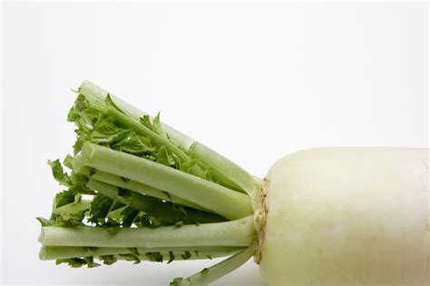 白蘿蔔料理指南：挑選方式、去除苦味、熱門白蘿蔔食譜