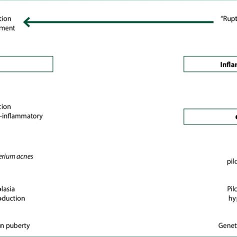 Global Acne Grading System Gags Download Scientific Diagram