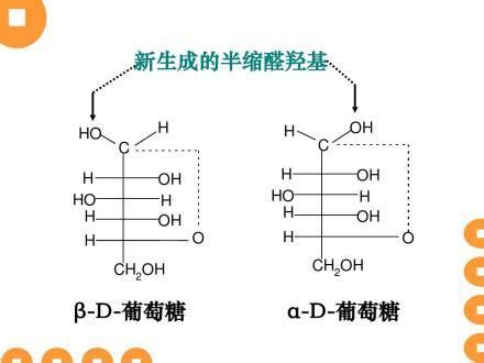 半缩醛羟基图册 360百科