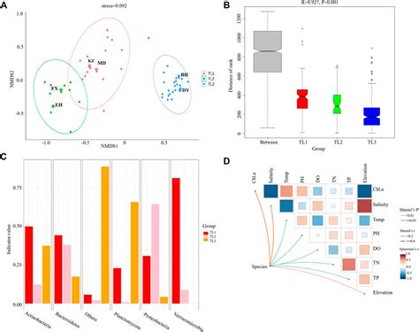 Frontiers Metagenomics Reveals Microbial Diversity And