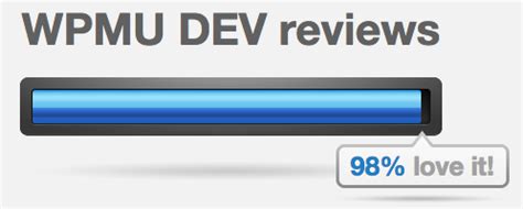 WPMU DEV Review