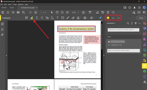 How To Annotate A PDF Learn Everything You Must Know