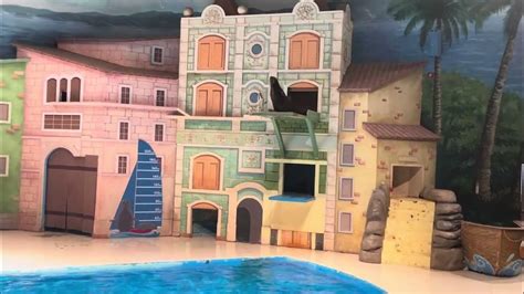 에버랜드 씨라이언 빌리지 애니멀톡 Youtube