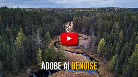 Incredible New Ai Noise Reduction In Lr Acr Greg Benz Photography