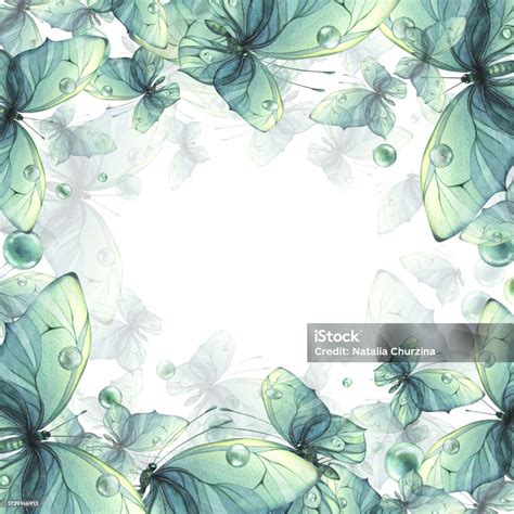 거품이있는 섬세한 청록색과 푸른 나비는 통풍이 잘되고 가볍고 아름답습니다 손으로 그린 수채화 그림 템플릿 카드 포스터를 위한 흰색 배경에 프레임 곤충에 대한 스톡 벡터 아트
