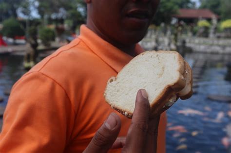 발리 동부투어 프라이빗 우붓 투어 솔직후기한국어 가이드 네이버 블로그