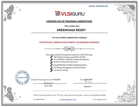 Functional Verification Debug Techniques Training Hands On