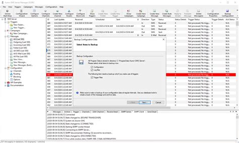 Auron SMS Server Professional License VSM
