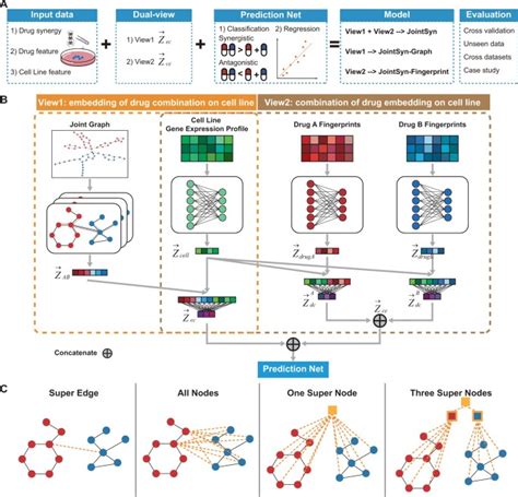 Dual View Jointly Learning Improves Personalized Drug Synergy Prediction Pmc