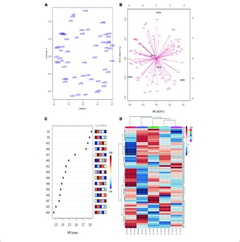 Multivariate Data Analysis Using Metaboanalyst Software A Pca