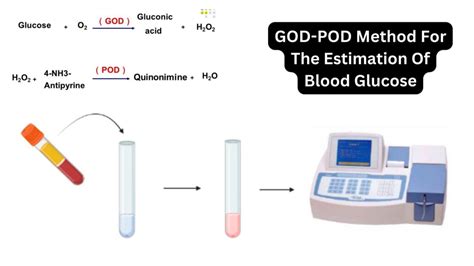 Glucose Tolerance Test Principle Procedure Types Applications Biology Notes Online