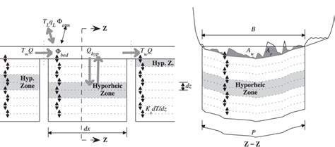 Schematic Of The 1 D Advection Dispersion Model With Transient Storage Download Scientific