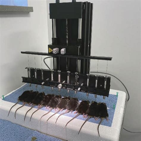 Intracranial Implantation Using The Lab Customized Screw Guide Download Scientific Diagram