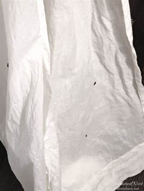 Window Replacement FAQ S Some Dirty Window Industry Secrets