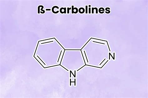 Other Compounds In Magic Mushrooms Mama Dose