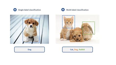 Image Classification 6 Applications And 4 Best Practices