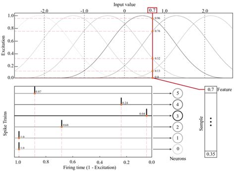 Example Of Population Encoding Based On 6 Grfs For An Input Value Of