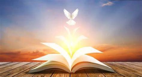 Fadilah Laqod Jaakum Untuk Dagang Dan Kehidupan Sehari Hari Exponesia Id