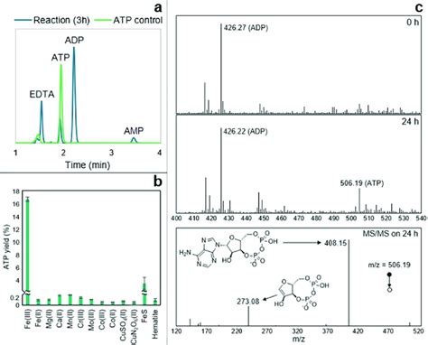 Atp Synthesis With Metal Ion Catalysts A Hplc Trace Of Atp Control Download Scientific