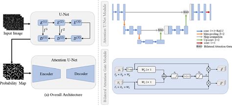 Figure 1 From Nuclei Segmentation Using Cascaded Bilateral Attention U