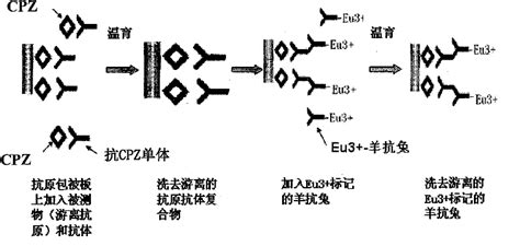 Time Resolved Fluoroimmunoassay Kit For Detecting Chlorpromazine And
