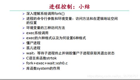 linux——进程创建及重定向（fork exec wait system dup2） du2 uowexec csdn博客
