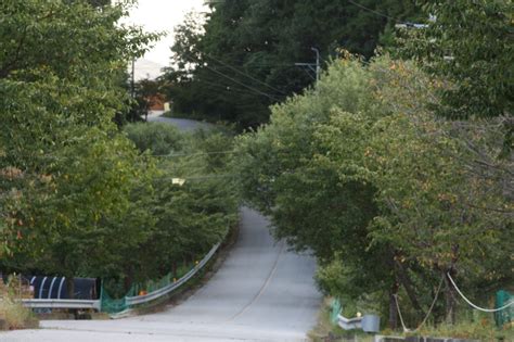 2022 9 20화 오후늦게 담아본 아름다운꽃들~~ 즐건오후 보내시길 바랍니다~ 미륵산길 구절초 메리골드 물봉선 잔대 꽃사랑 꽃을 사랑하는