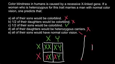 Color Blindness Genetics