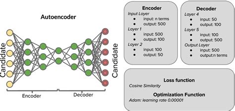 Deep Autoencoder Architecture The First Half Being Called The Encoder