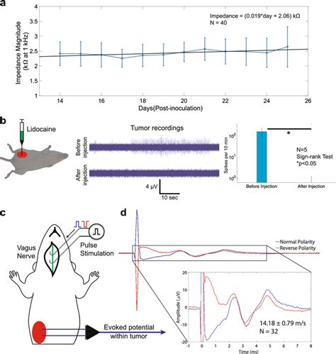 Stability Of Chronic Interface Electrode Impedance And Acute