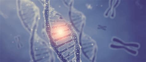 Test De Compatibilidad Genética Qué Es Y Cuándo Se Recomienda Gravida