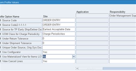 Oracle Apps Scm Guide Item Orderability