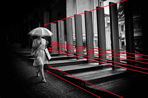 Research Portfolio Antonia Walsh Media
